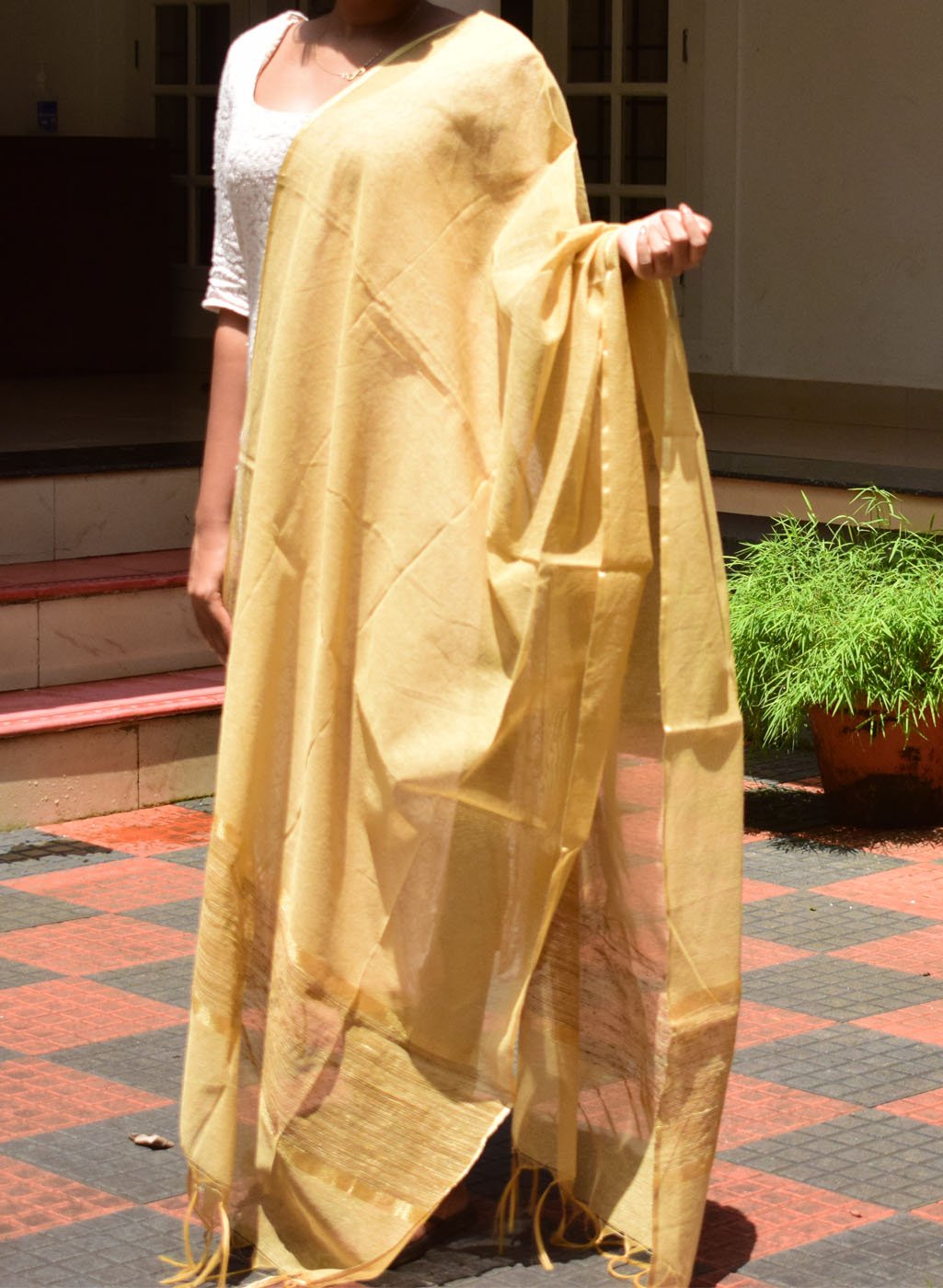 Cotton Net Dupatta-Golden - Vastrasilks